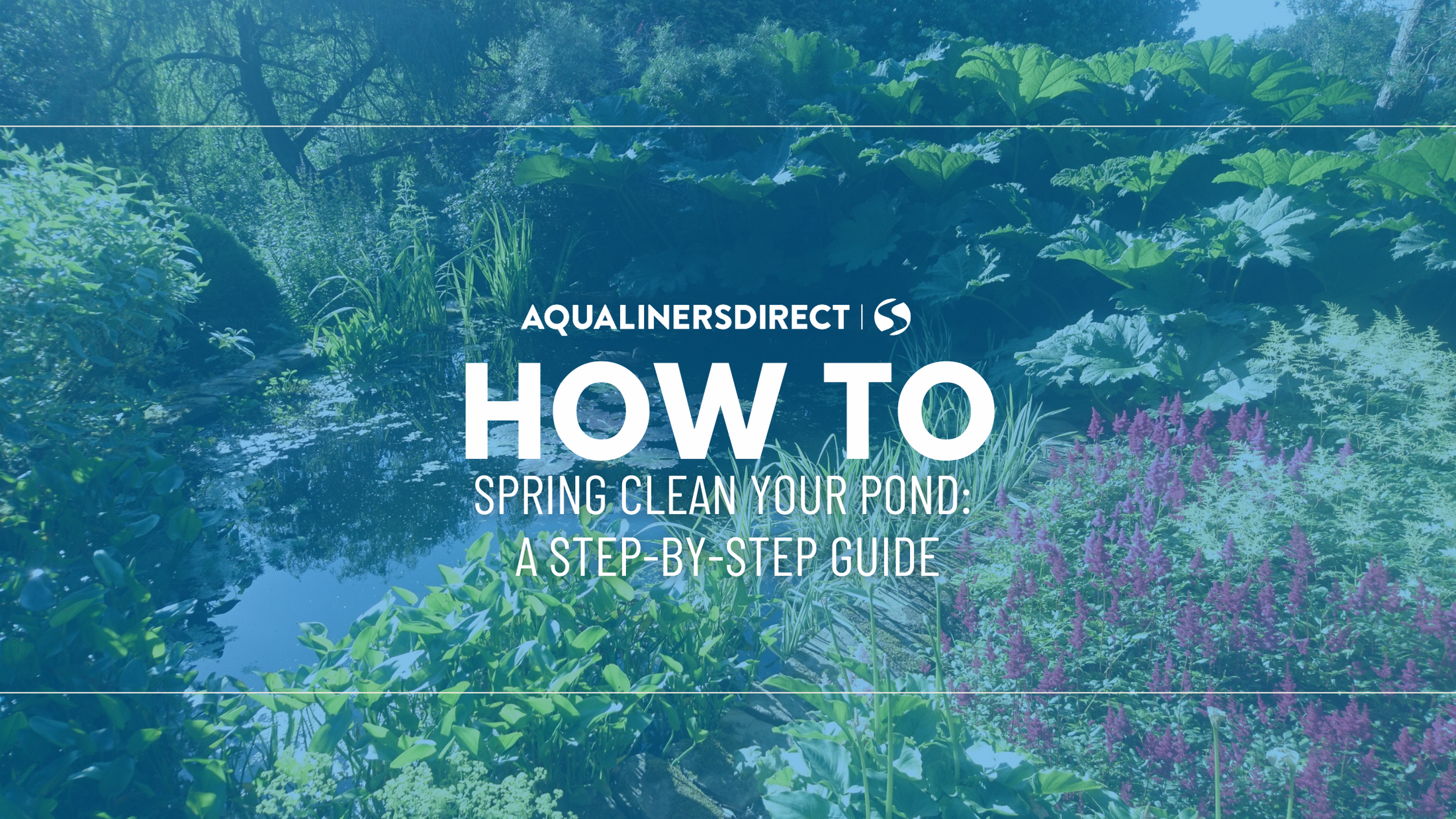 Spring Pond Maintenance | A Guide To Cleaning Pond In Spring