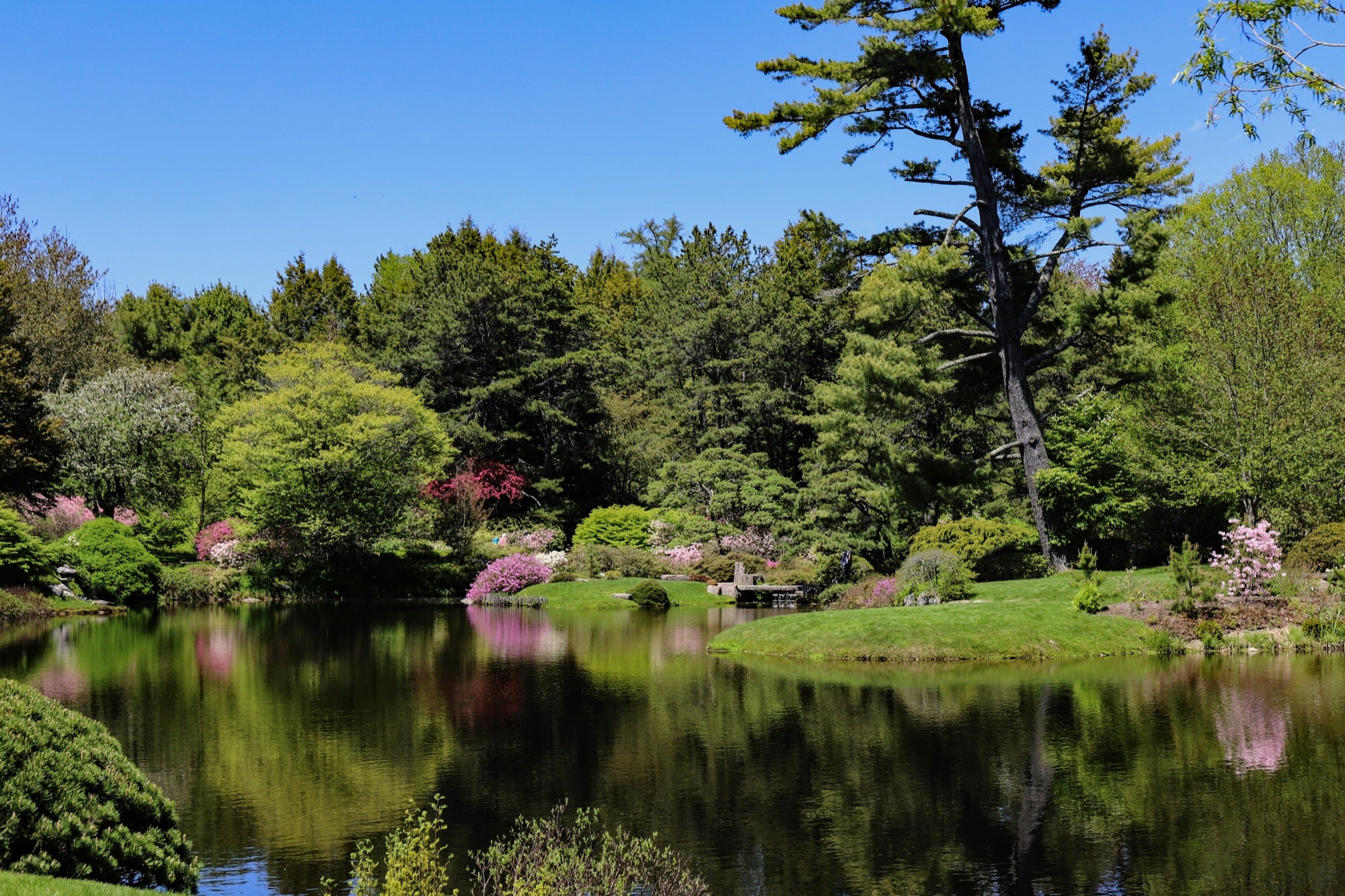 Pond Liner Specialists | Quality Pond Supplies | AquaLiners Direct